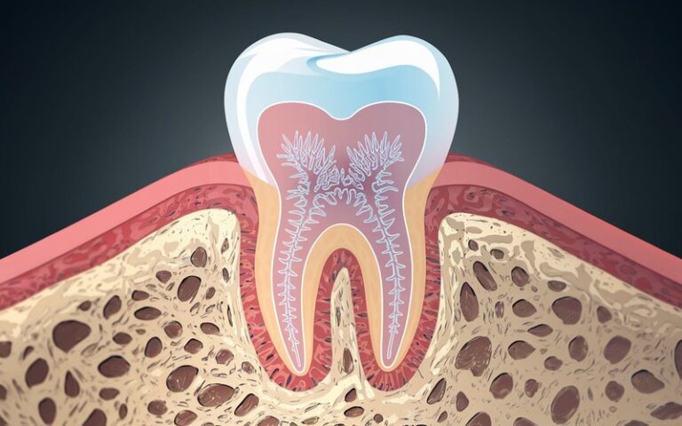 Can You Regrow Tooth Enamel In 2025? - Dental Clinic